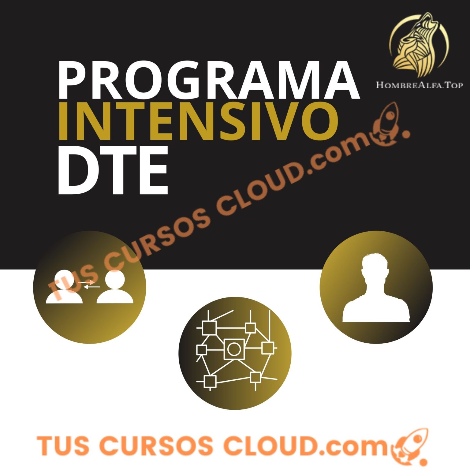 Programa DTE de Hombre Alfa Top 【BARATO】