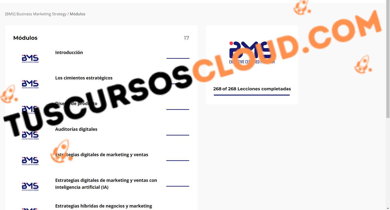 Programa Business Marketing Strategy 2024 - Convierte Mas